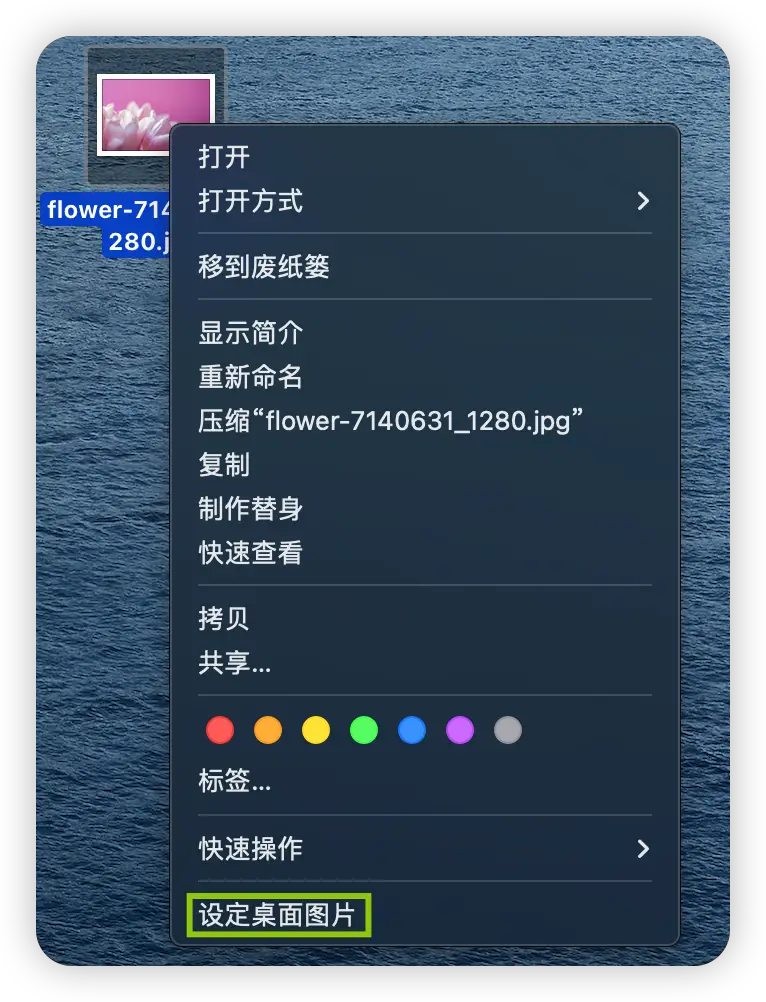 如何在macos上使用ping命令 万事指南